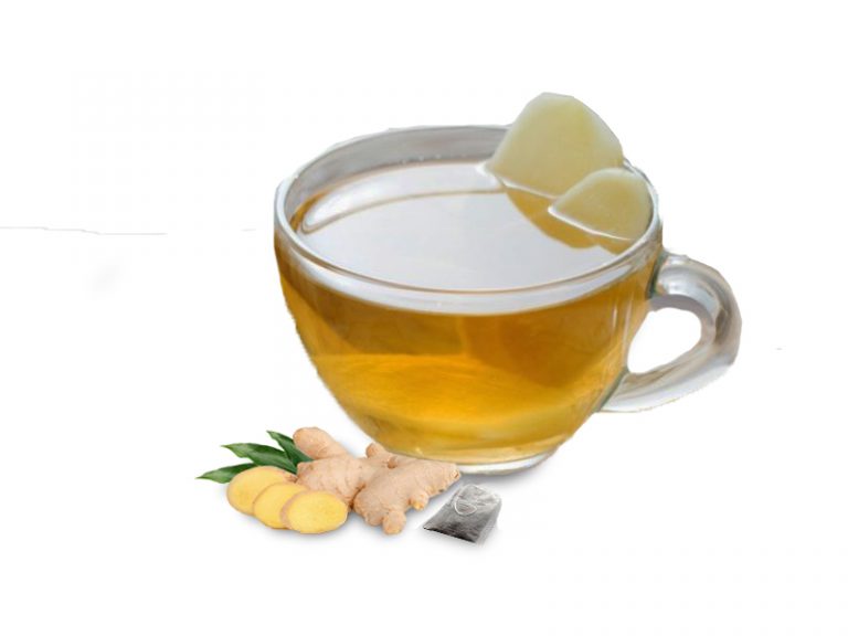 Filtrante | Productos Naturales Orgánicos